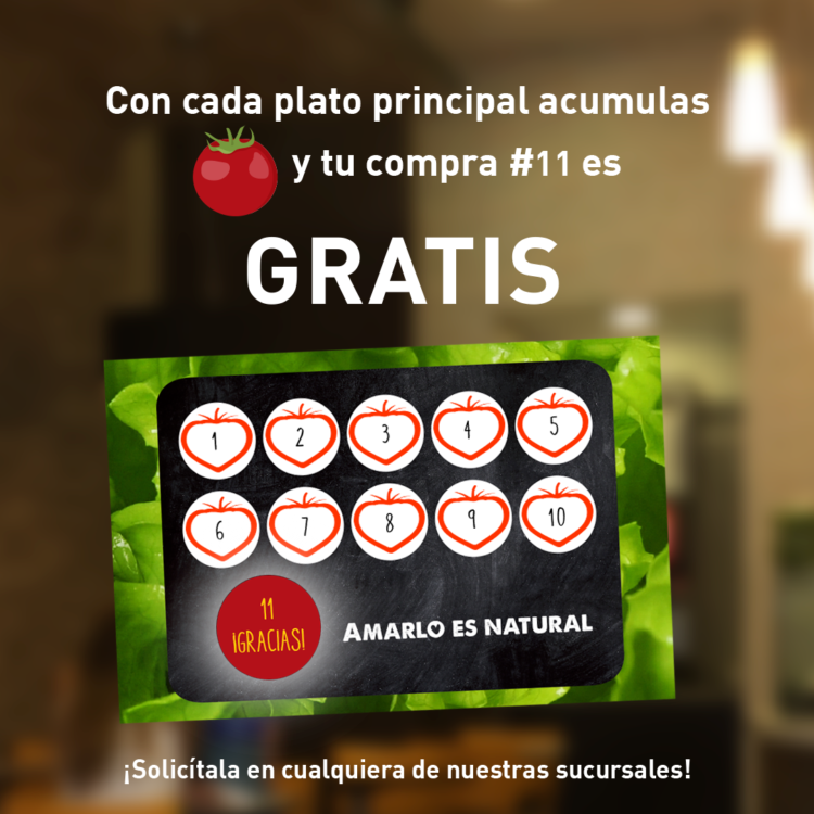 ONZE | Paninis - Soups - Salads